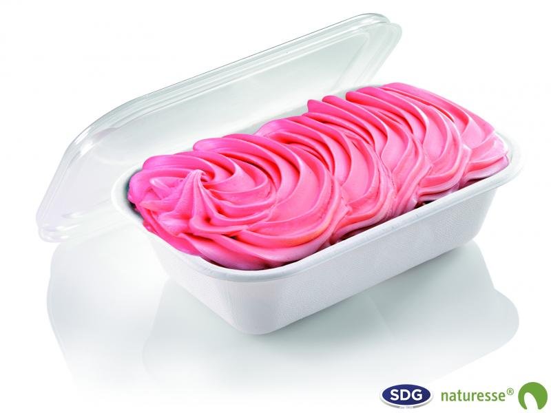 BIO CELLULOSE PULP PBAT RECTANGULAR TRAY // Ice cream world Bio ...